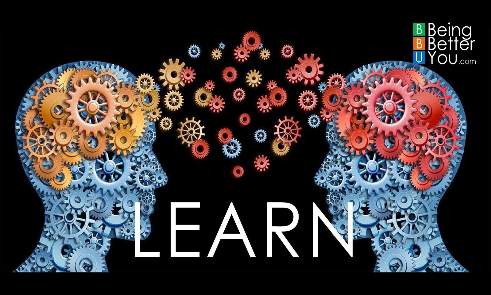 A Invata de Performanta – CoEvolve Romania